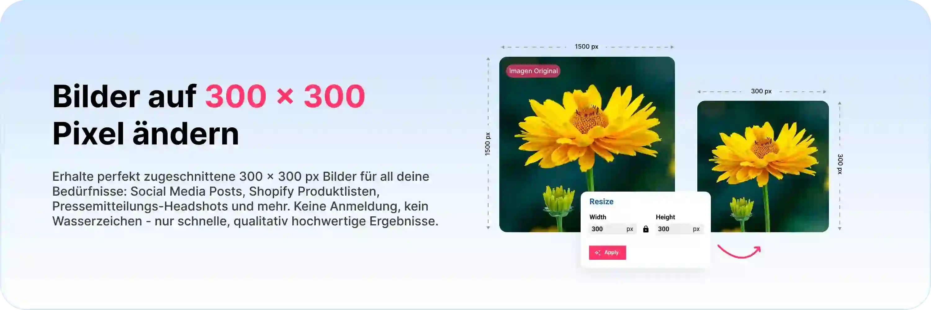 Kostenloser Online-Bildgrößen-Änderer auf 300 x 300 Pixel - 300 x 300 ...