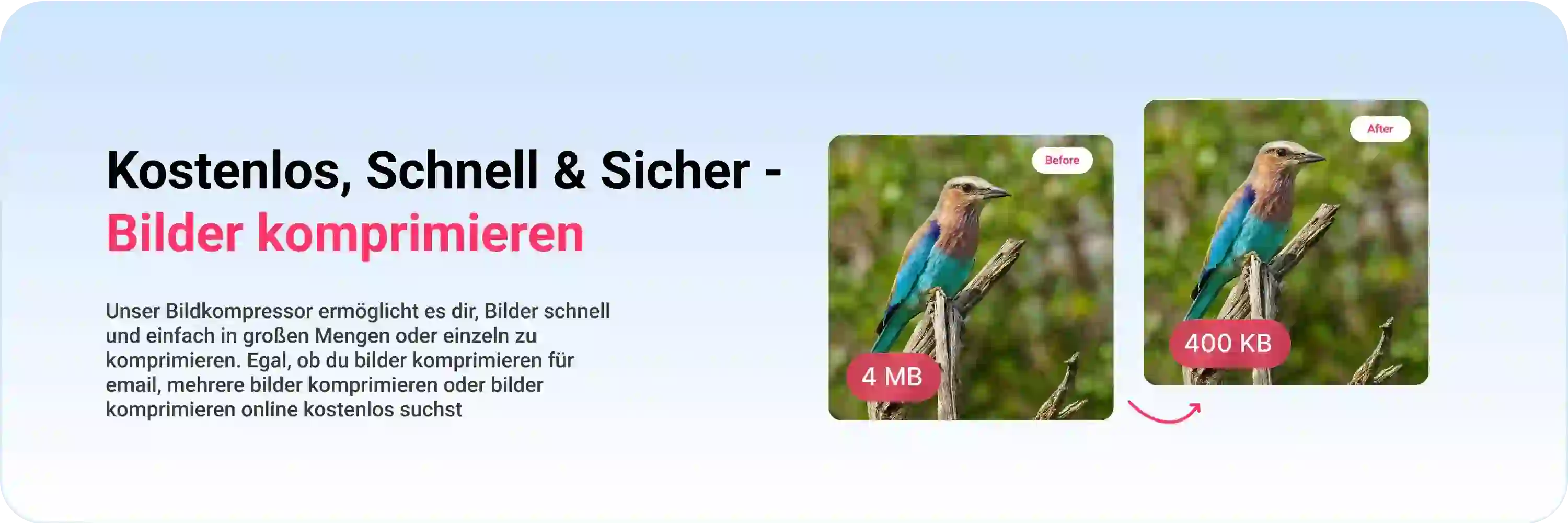 Kostenloser Bildkompressor zum Bilder komprimieren - Kostenloser Foto ...