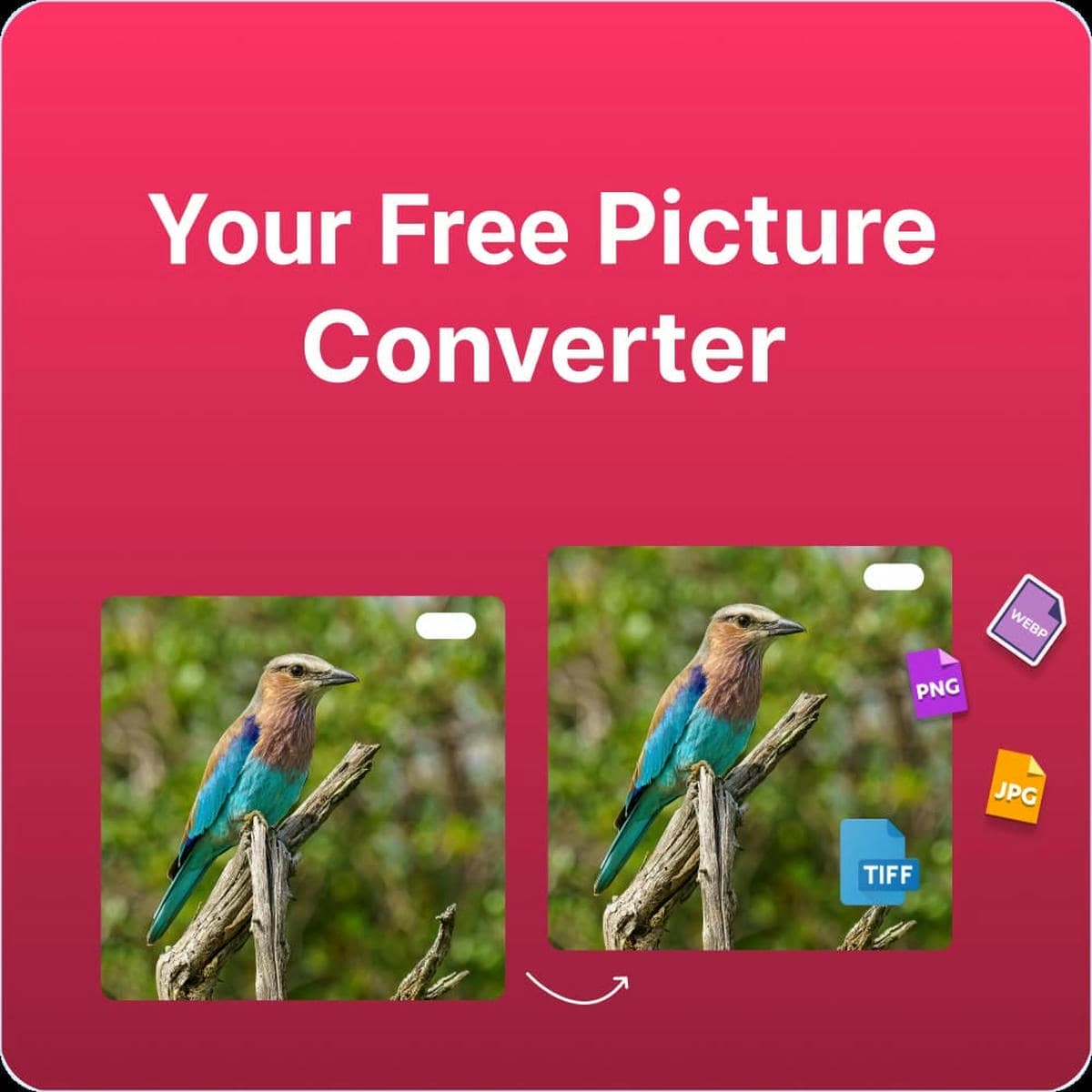 All-In-One Image Converter - Free, Fast and Private Image Converter