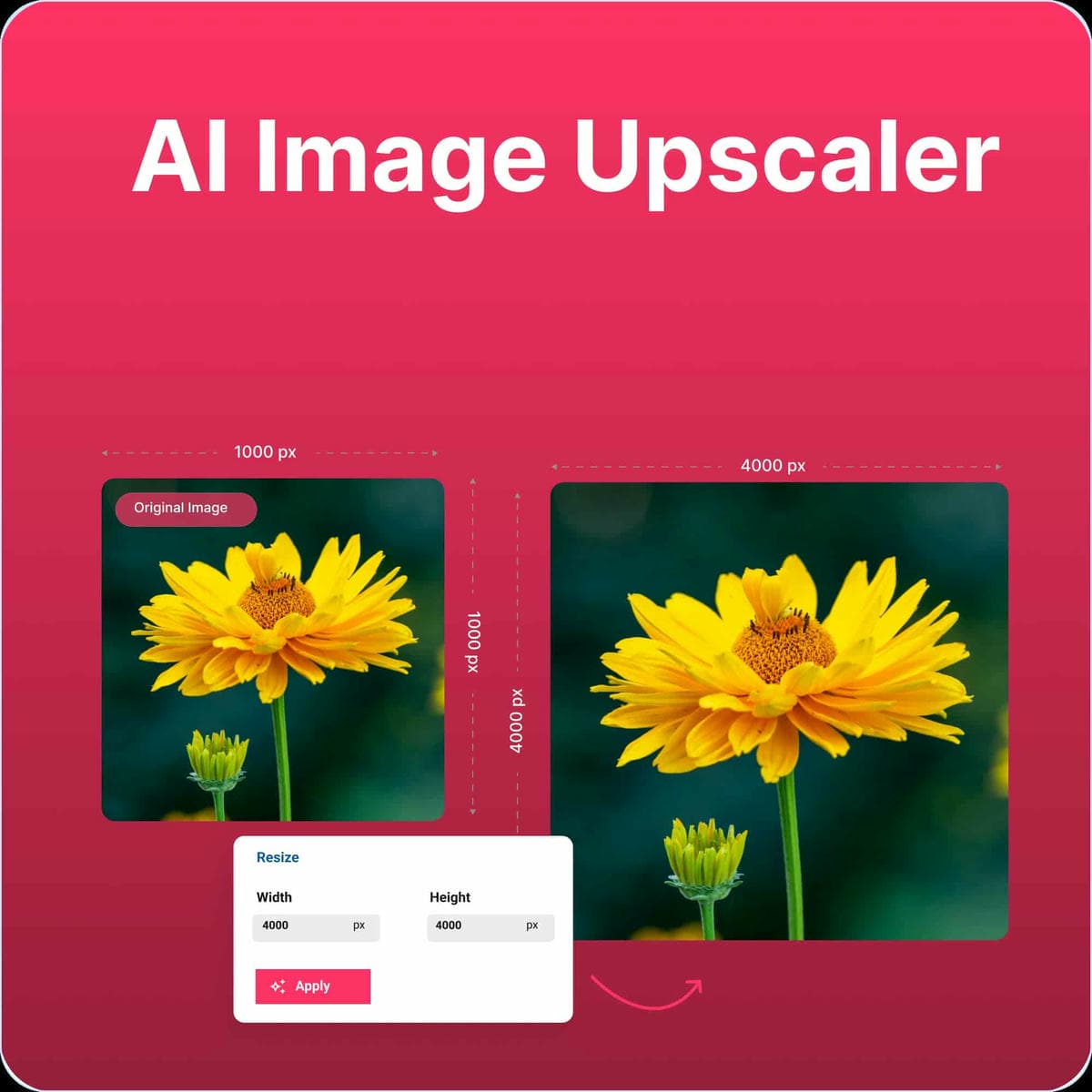 Free AI Image Upscaler - Upscale Images in Bulk