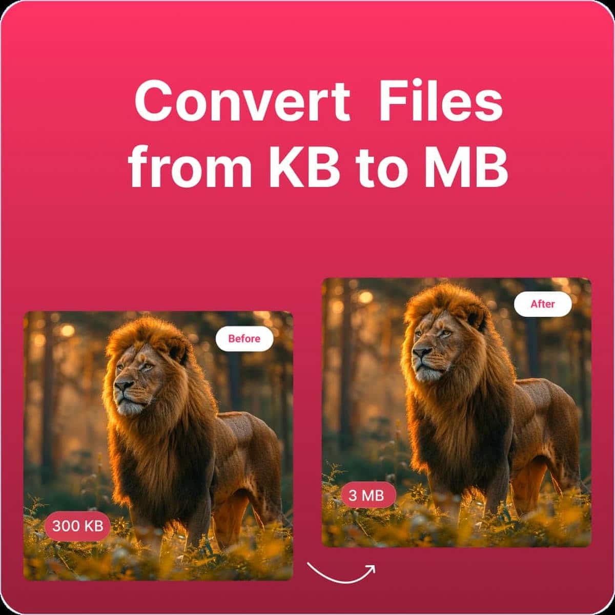 Convert KB to MB for FREE - KB to MB Converter
