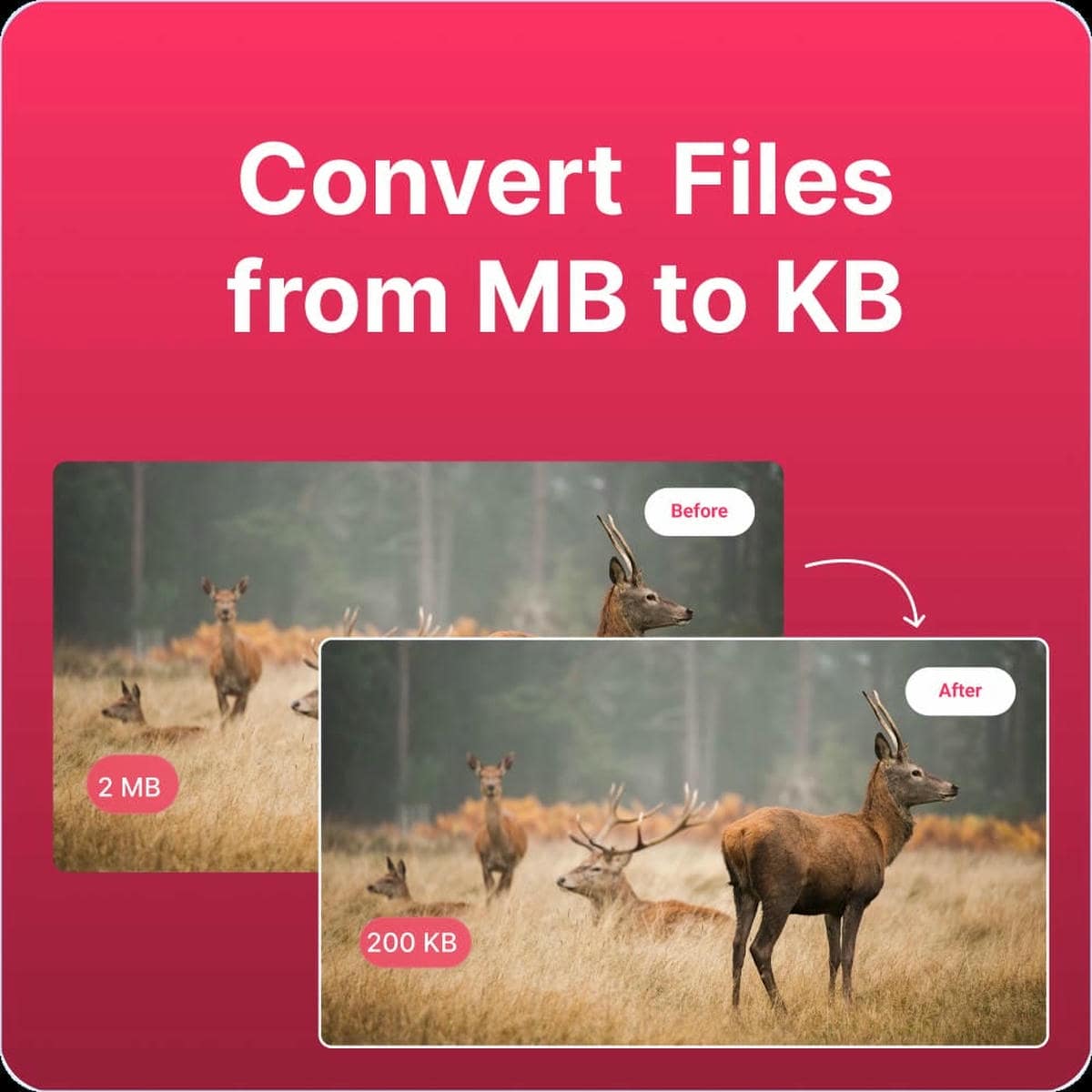Convert MB to KB for FREE - MB to KB Converter