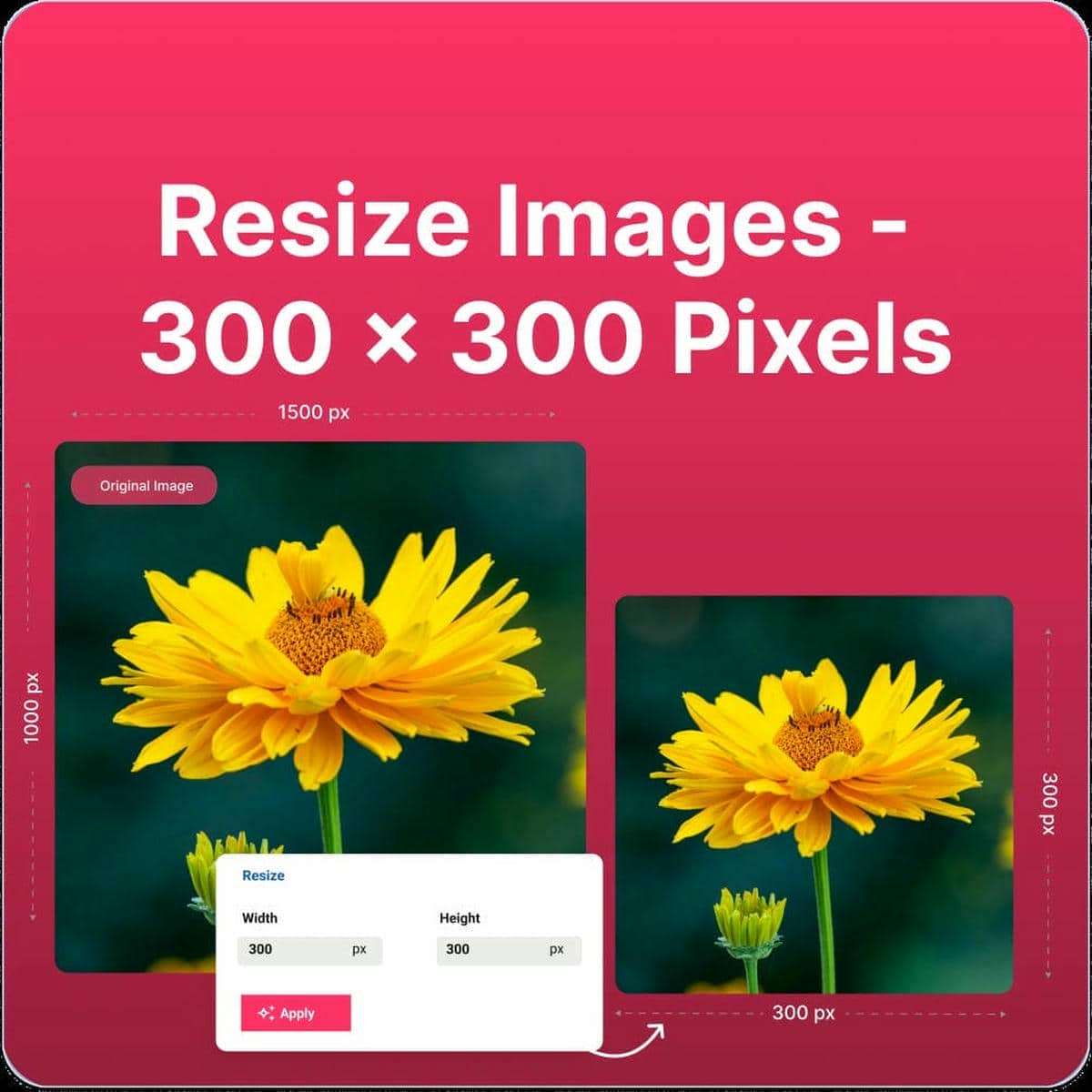 Free Online Resizer to 300 x 300 Pixels - 300 x 300 Image Converter