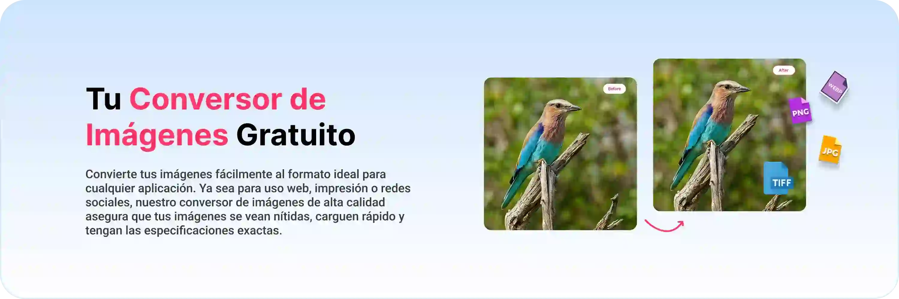 Convertidor de imágenes todo en uno - Convertidor de imagen a imagen