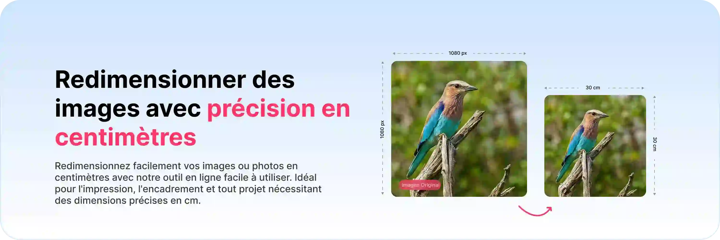 Redimensionner une image en centimètres - Sûr & précis - Redimensionner ...