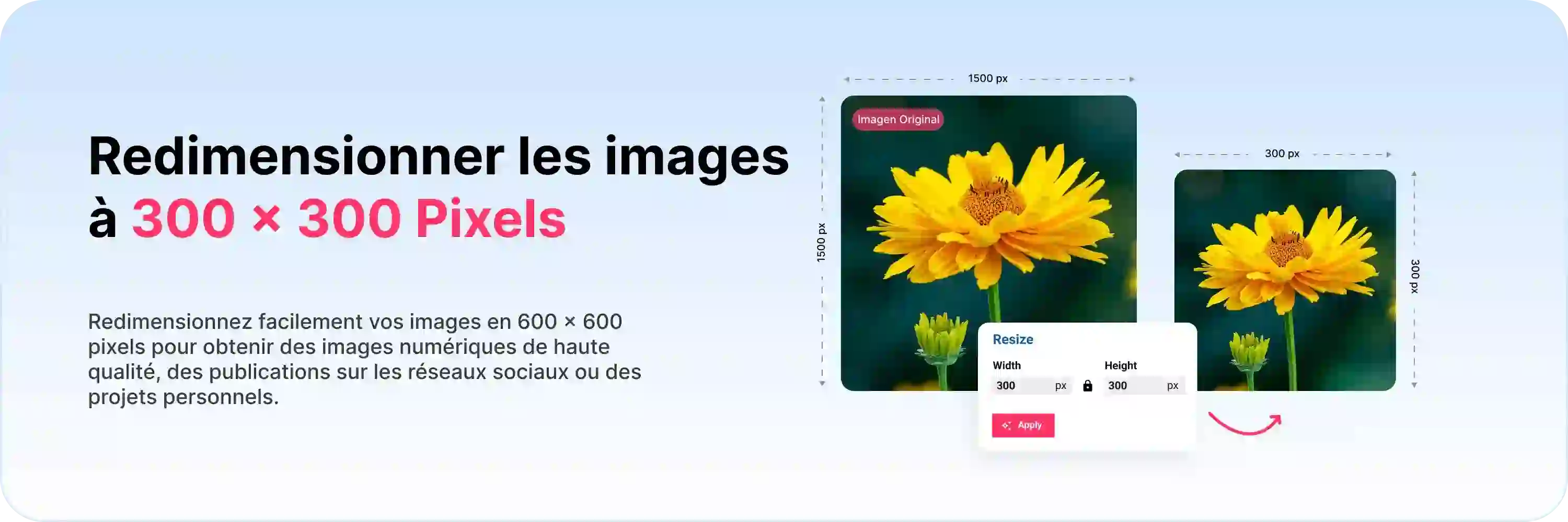 Redimensionneur en ligne gratuit à 300 x 300 pixels - Convertisseur d ...